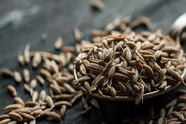 چرا زیره کرمان قلب آشپزخانه‌های جهان را تسخیر کرده؟